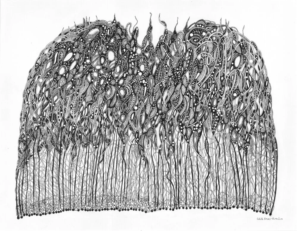 Endless Loops: Discussing Art and Memory with the Artist Edith Borax ...