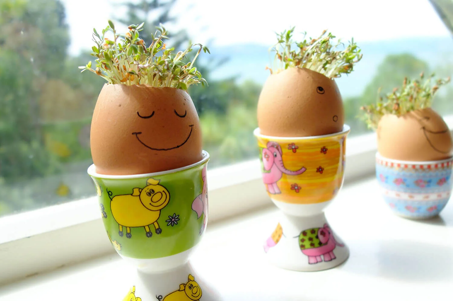 Activity for Kids - Grow Your Own Cress Egg Head — Upstart Magazine