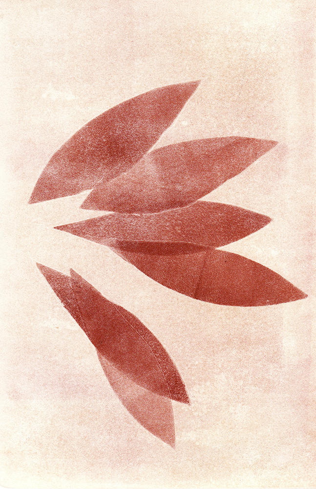 Classes & Workshops — Soma Yoga & Dance Studio