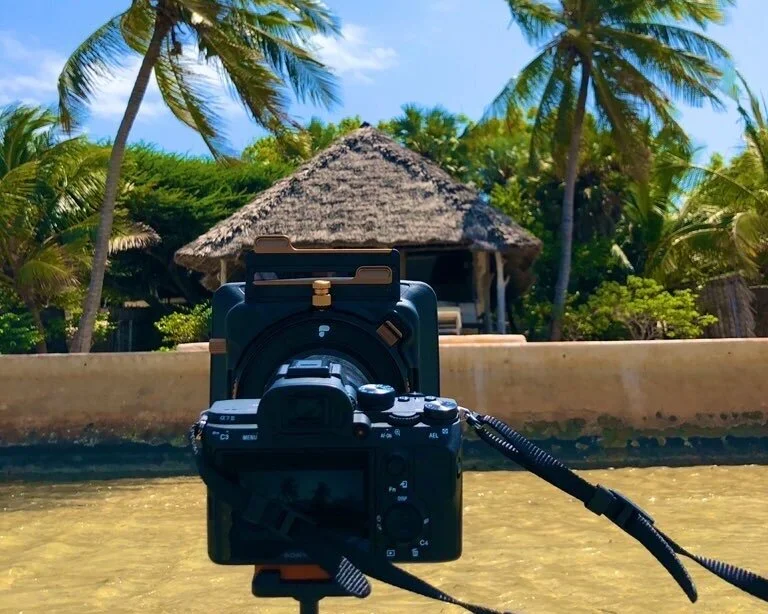 Purple Elephant Ventures