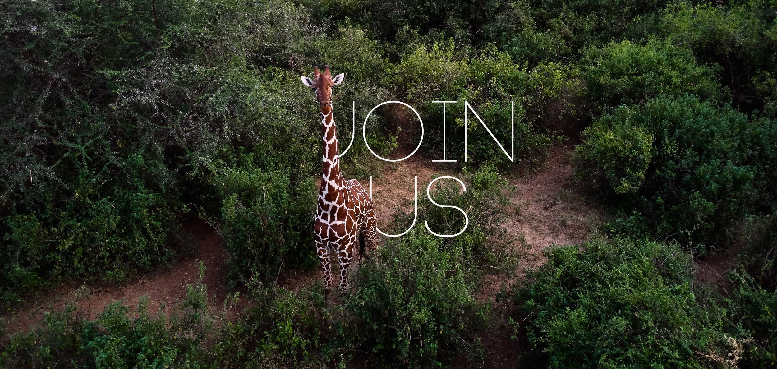 Careers at Purple Elephant Ventures — Purple Elephant Ventures