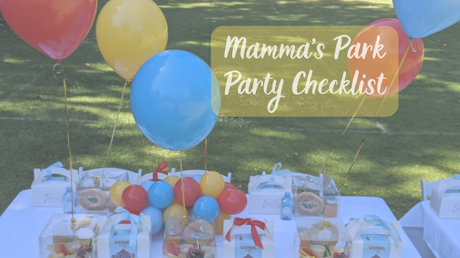 Mamma's Park Party Checklist — Mamma Knows Parties