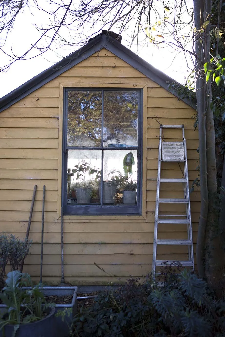 Gardens — Sarah Cuttle Photography