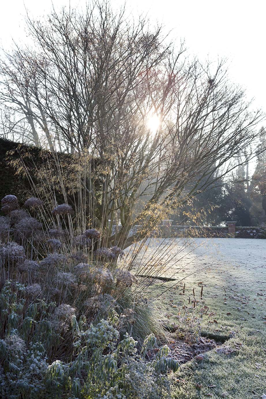 Gardens — Sarah Cuttle Photography