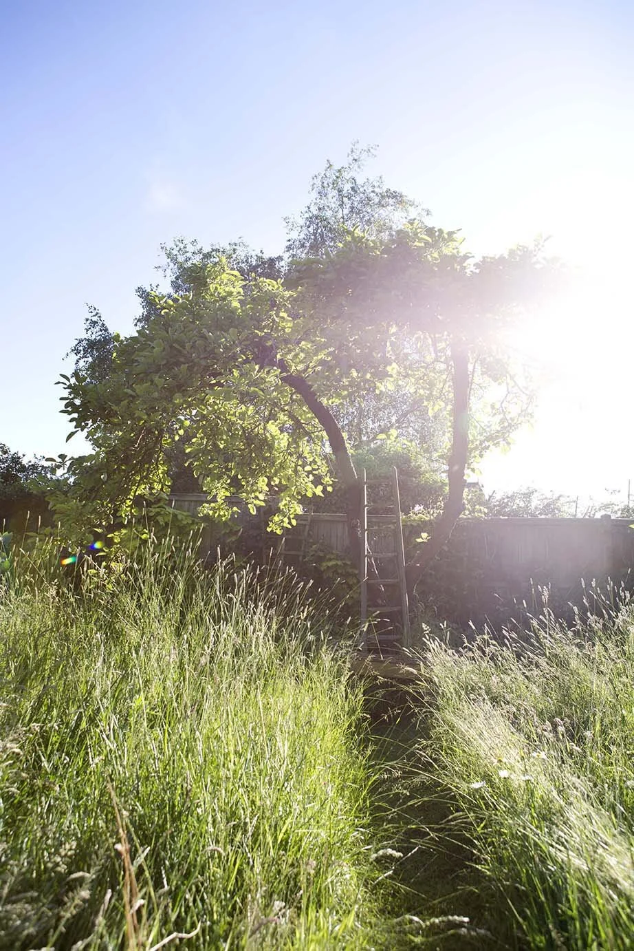 Sarah Cuttle Photography