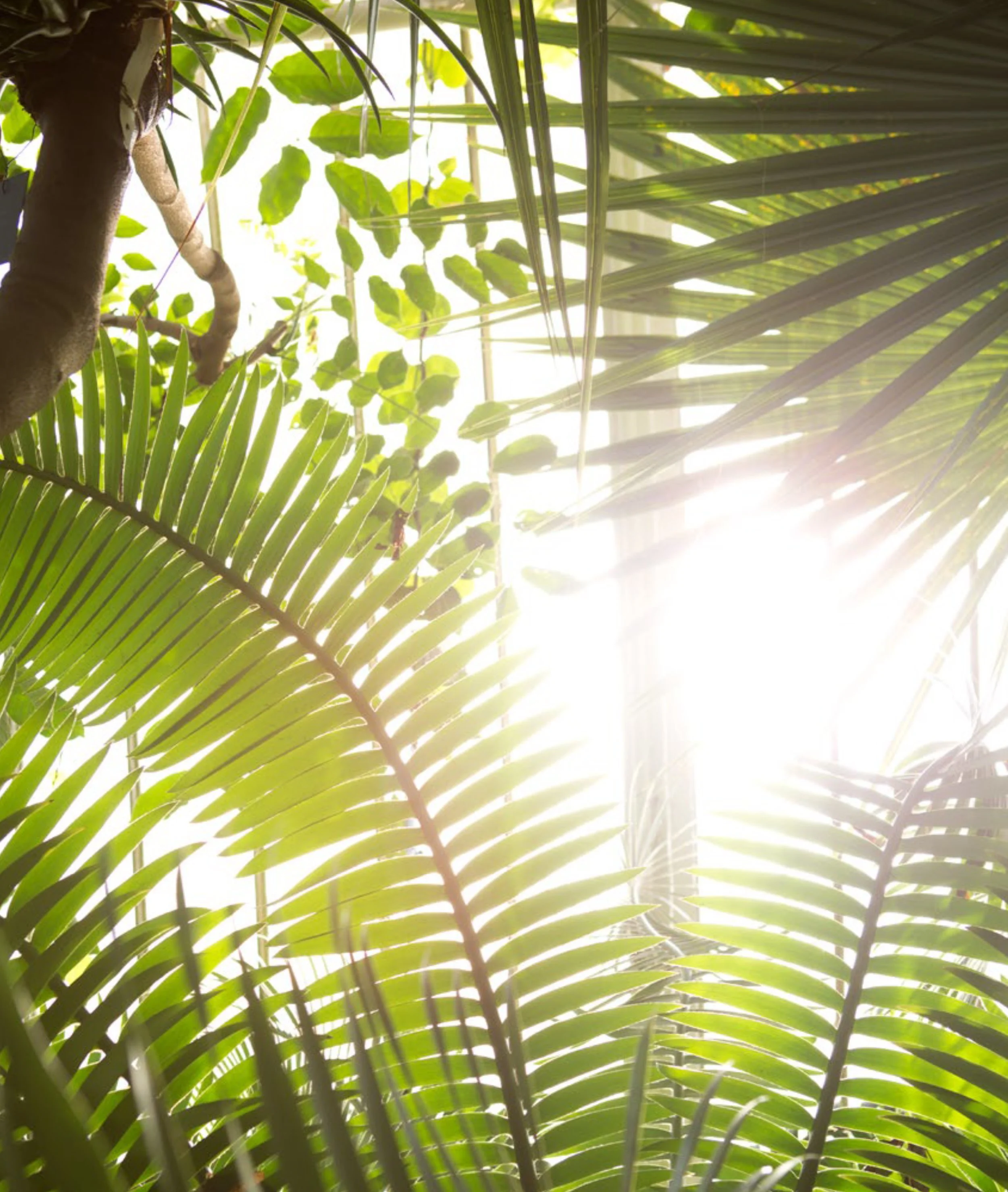 Books — Sarah Cuttle Photography