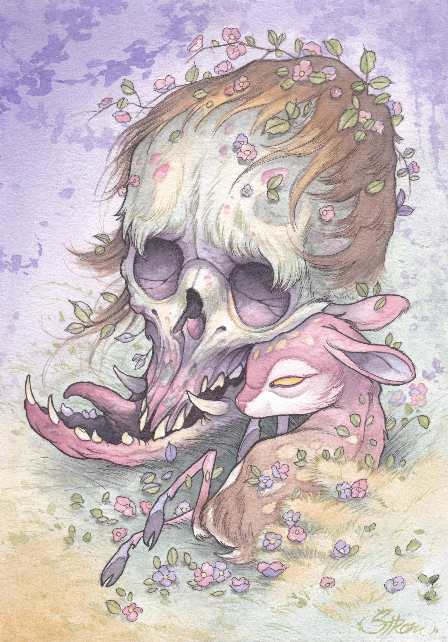 Illustrations — Tom Strom