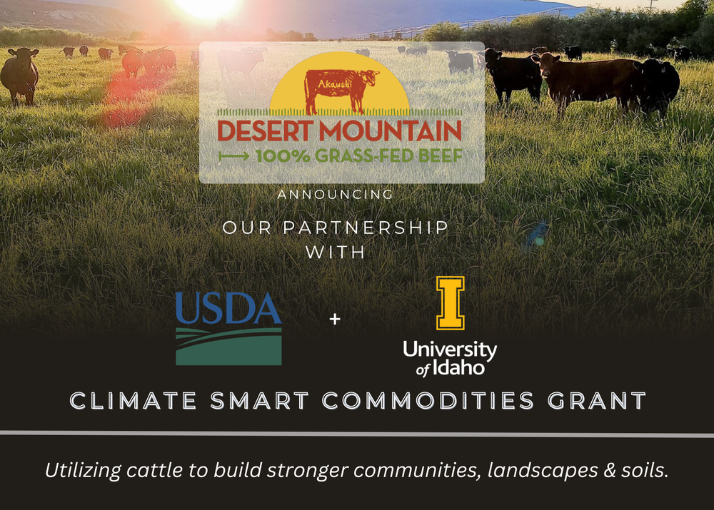 Desert Mountain Grass Fed Beef - Idaho Beef Online