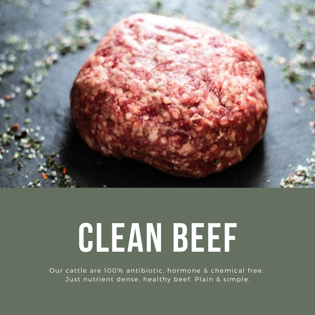 Desert Mountain Grass Fed Beef - Idaho Beef Online
