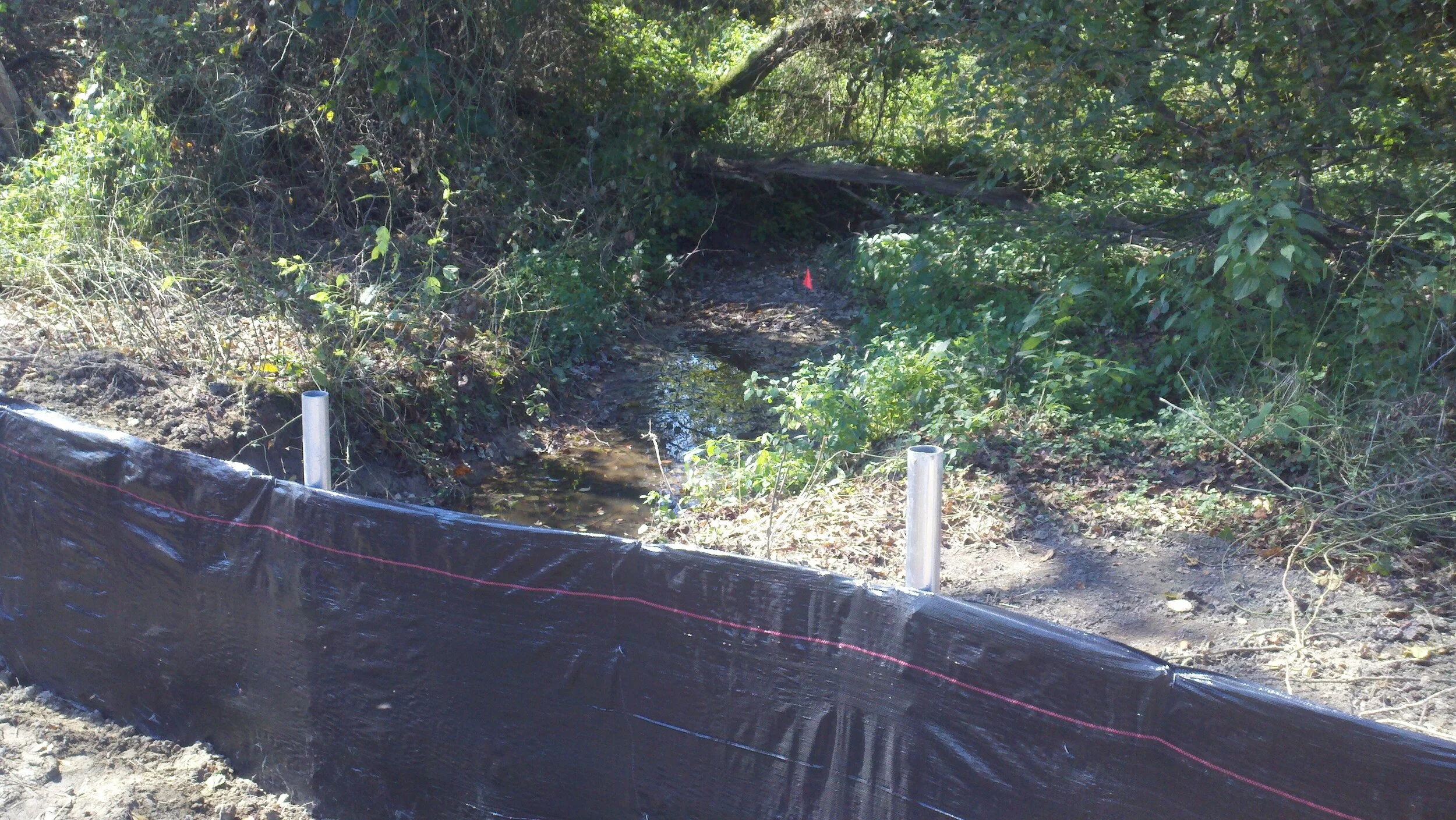 Sassafras River Treatment Wetlands Project Home Page - Ridge to Reefs