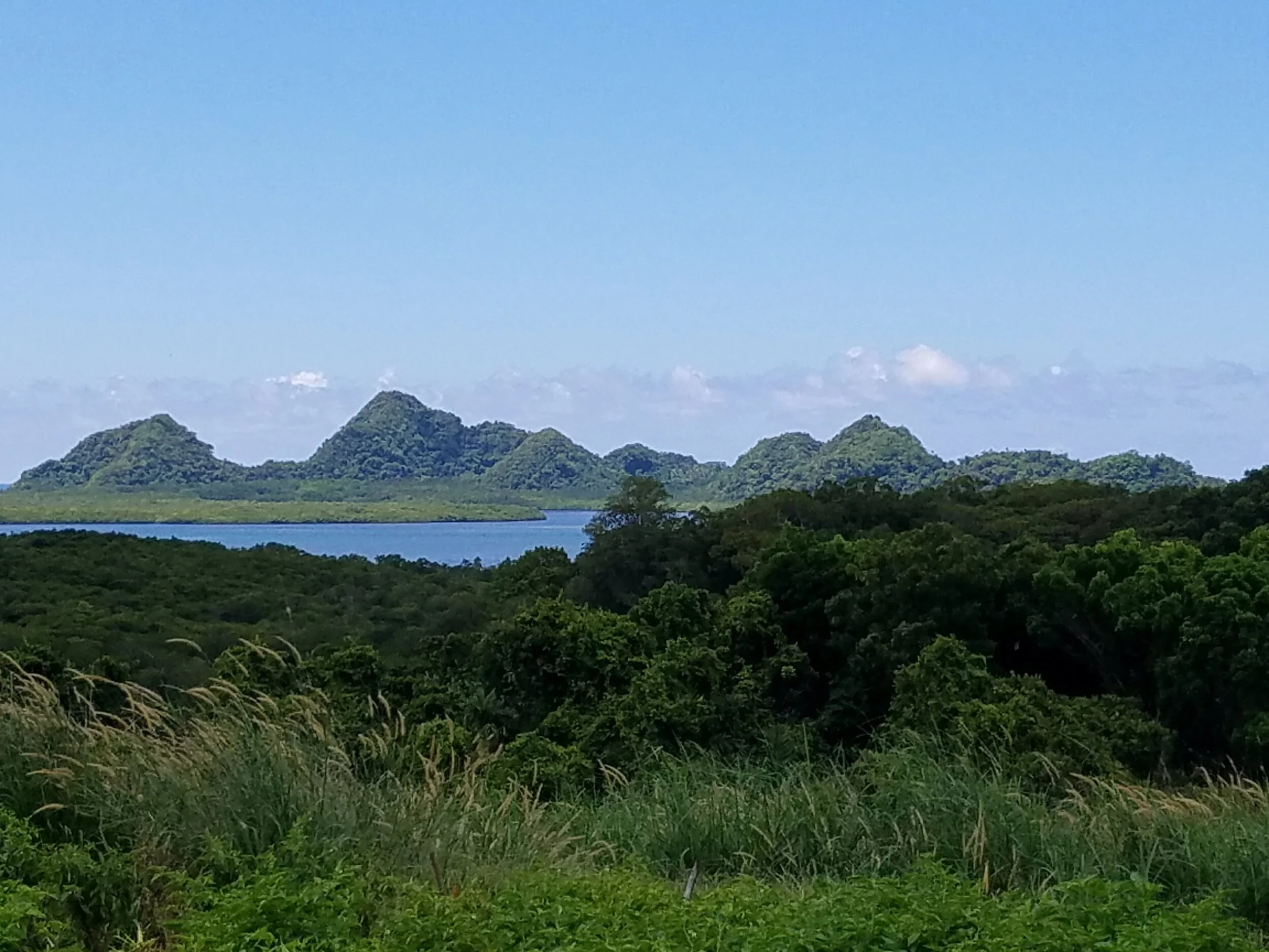 Ecosystem Restoration - Ridge to Reefs