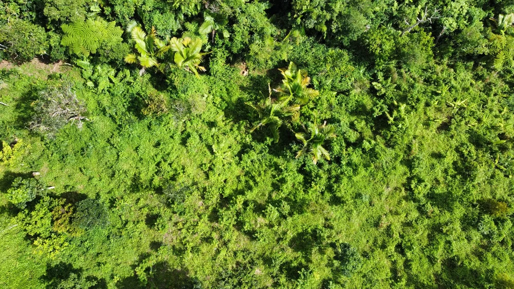 Meet the Team - Ridge to Reefs