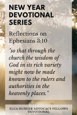 HAF New Year’s Devotional: Shared Power — Lutheran Advocacy Ministry ...