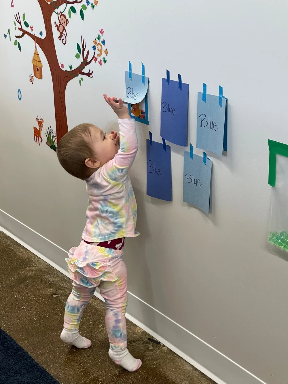 Tuition — Child First Academy