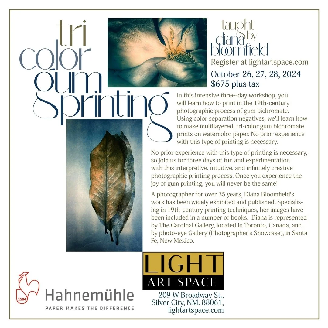 Silver City Art Association