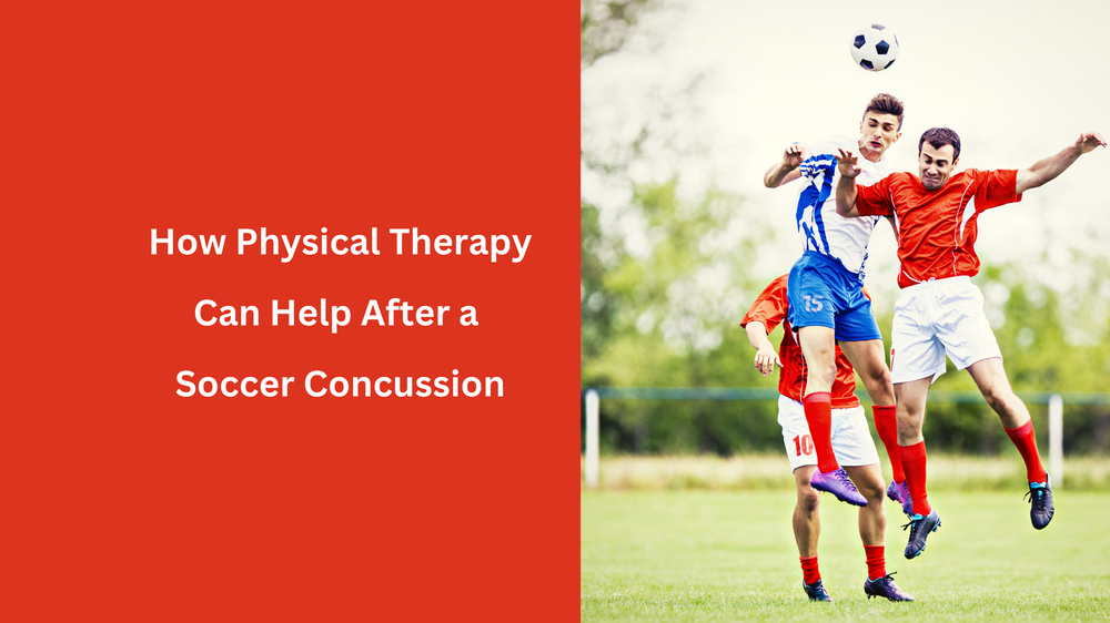Concussion — Blog -Mangiarelli Rehabilitation