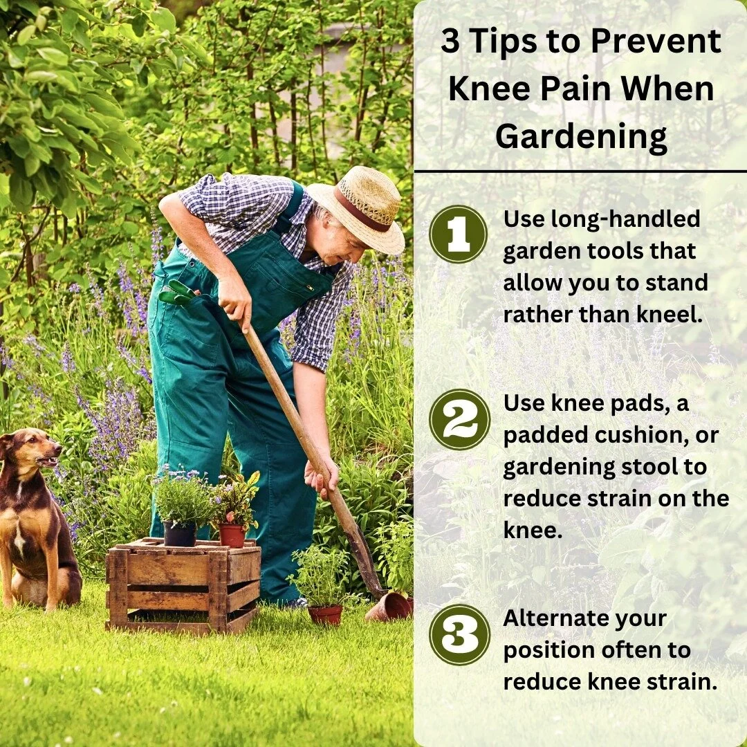 Endometriosis — Blog -Mangiarelli Rehabilitation