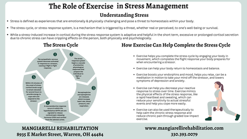 Infographic — Blog -Mangiarelli Rehabilitation