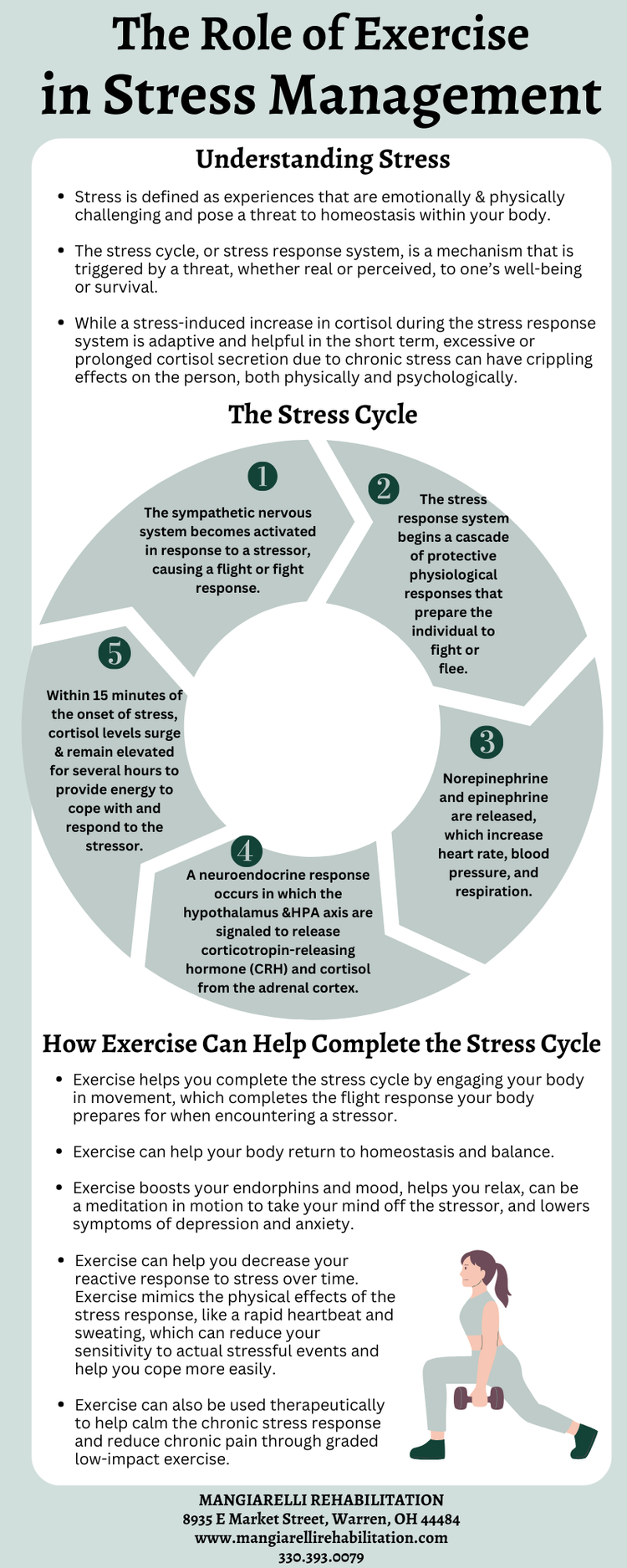 Completing the Stress Cycle with Exercise [Infographic]-Mangiarelli ...