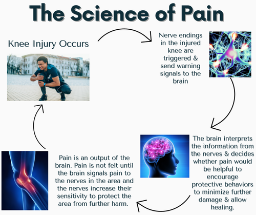 Addressing Chronic Pain with Pain Neuroscience Education and Physical ...