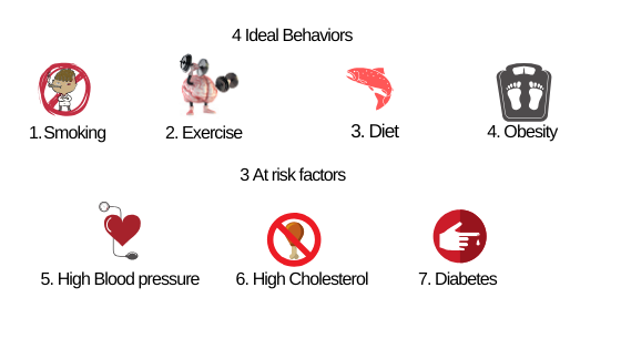 Signs of Cognitive Decline and What you can do — Whealthy Performance ...