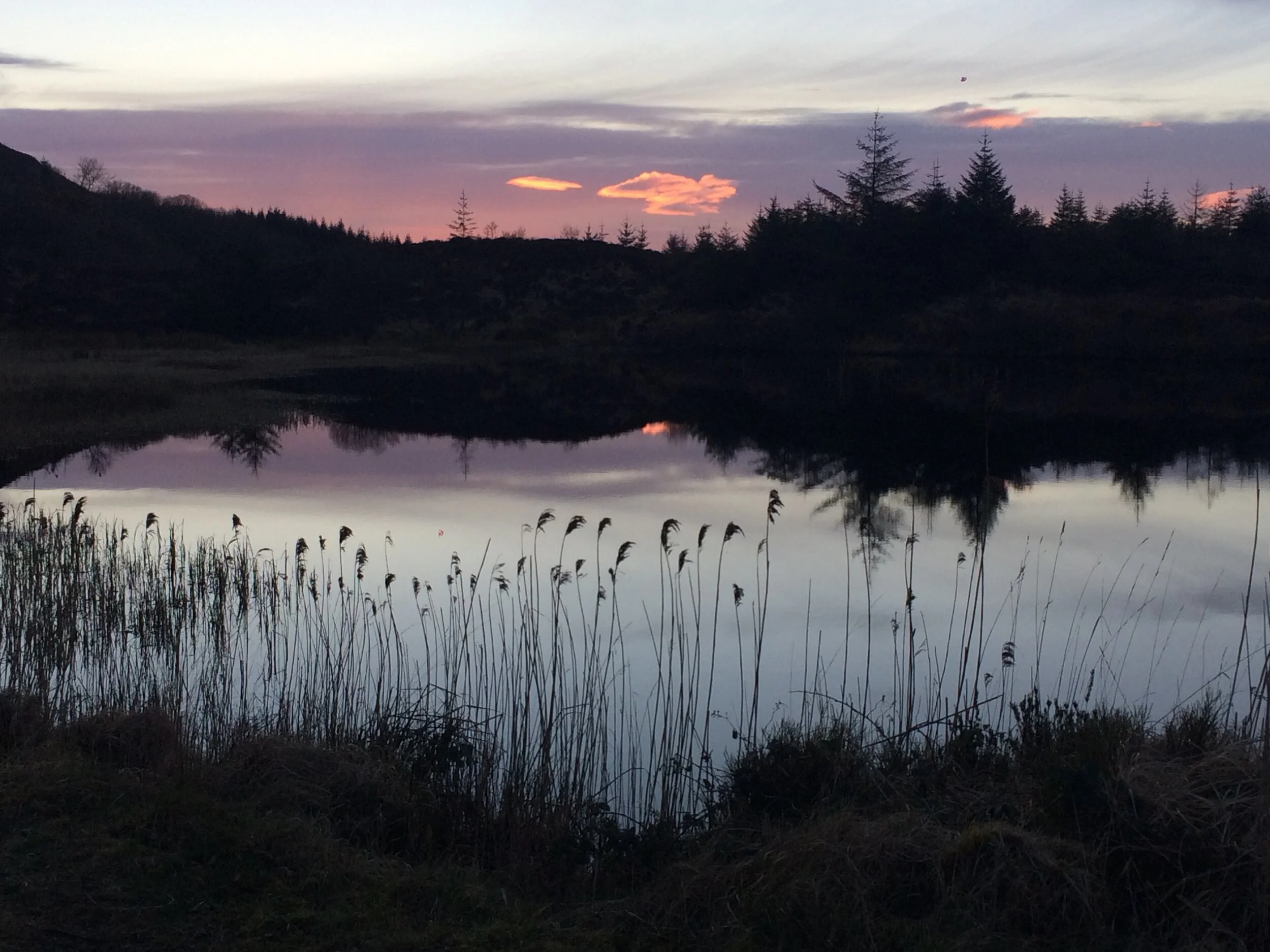 Nicholas May Psychotherapy: Beginning to Breathe Again