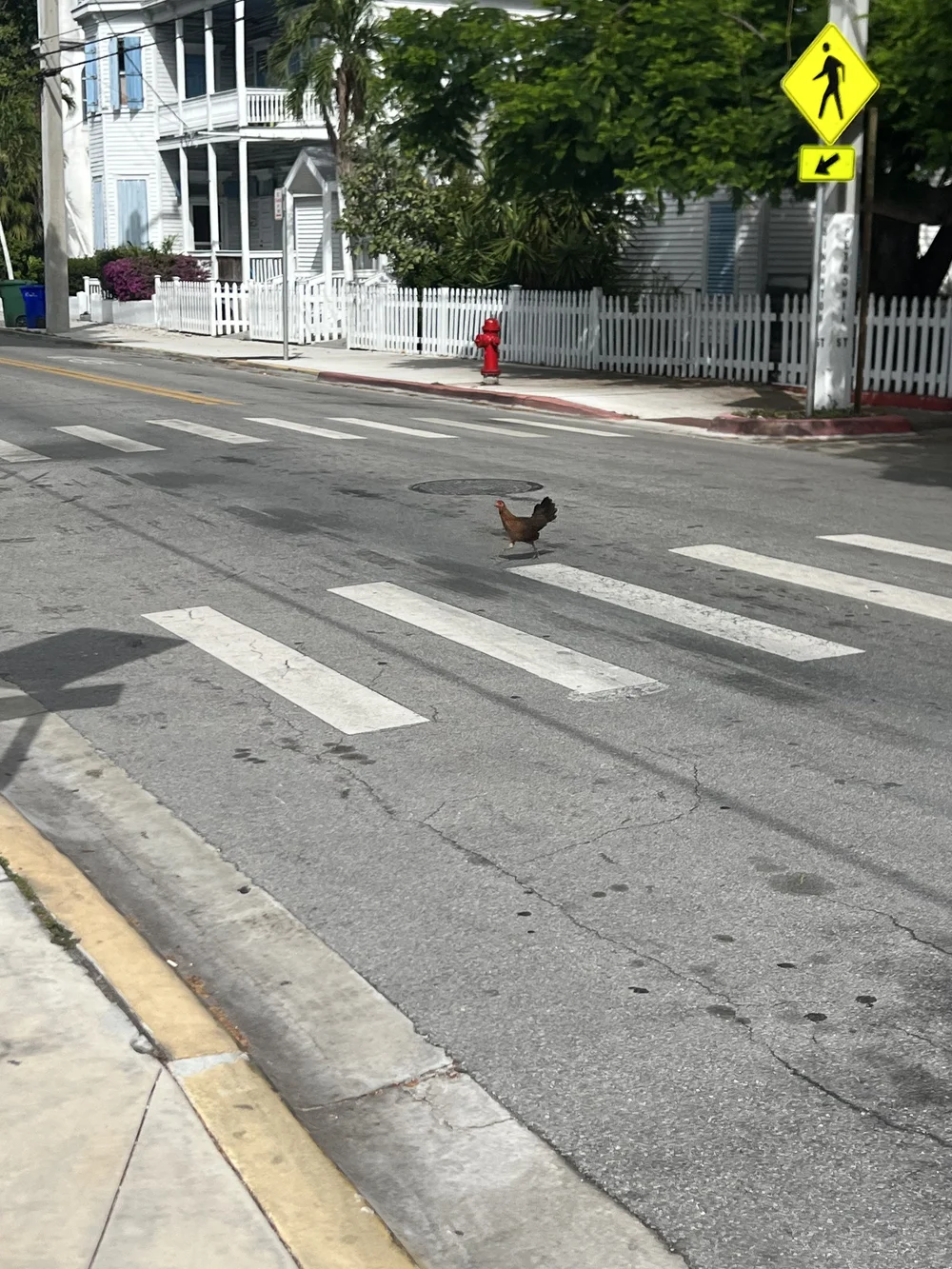 4 Days in Key West — Blonde Voyage 901