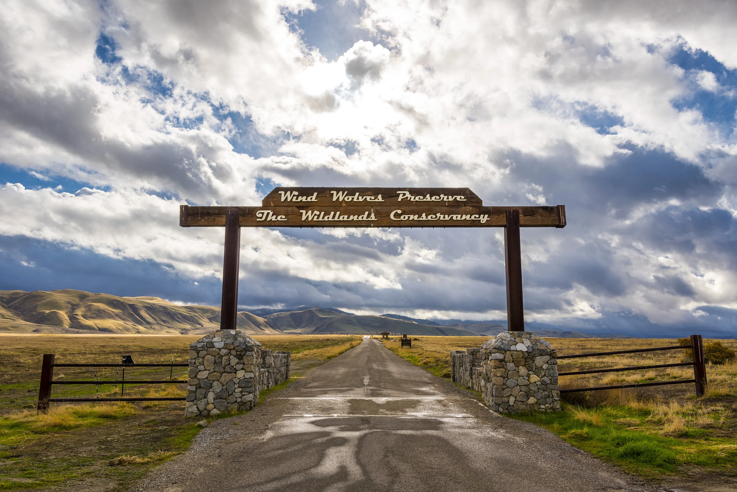 Wind Wolves Preserve » The Wildlands Conservancy