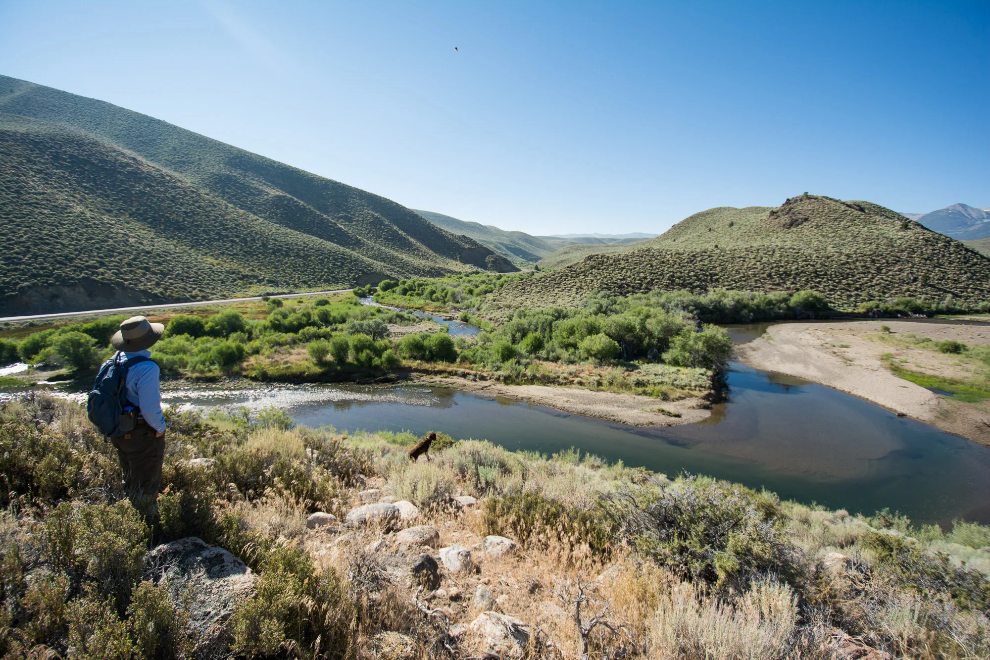 The Wildlands Conservancy