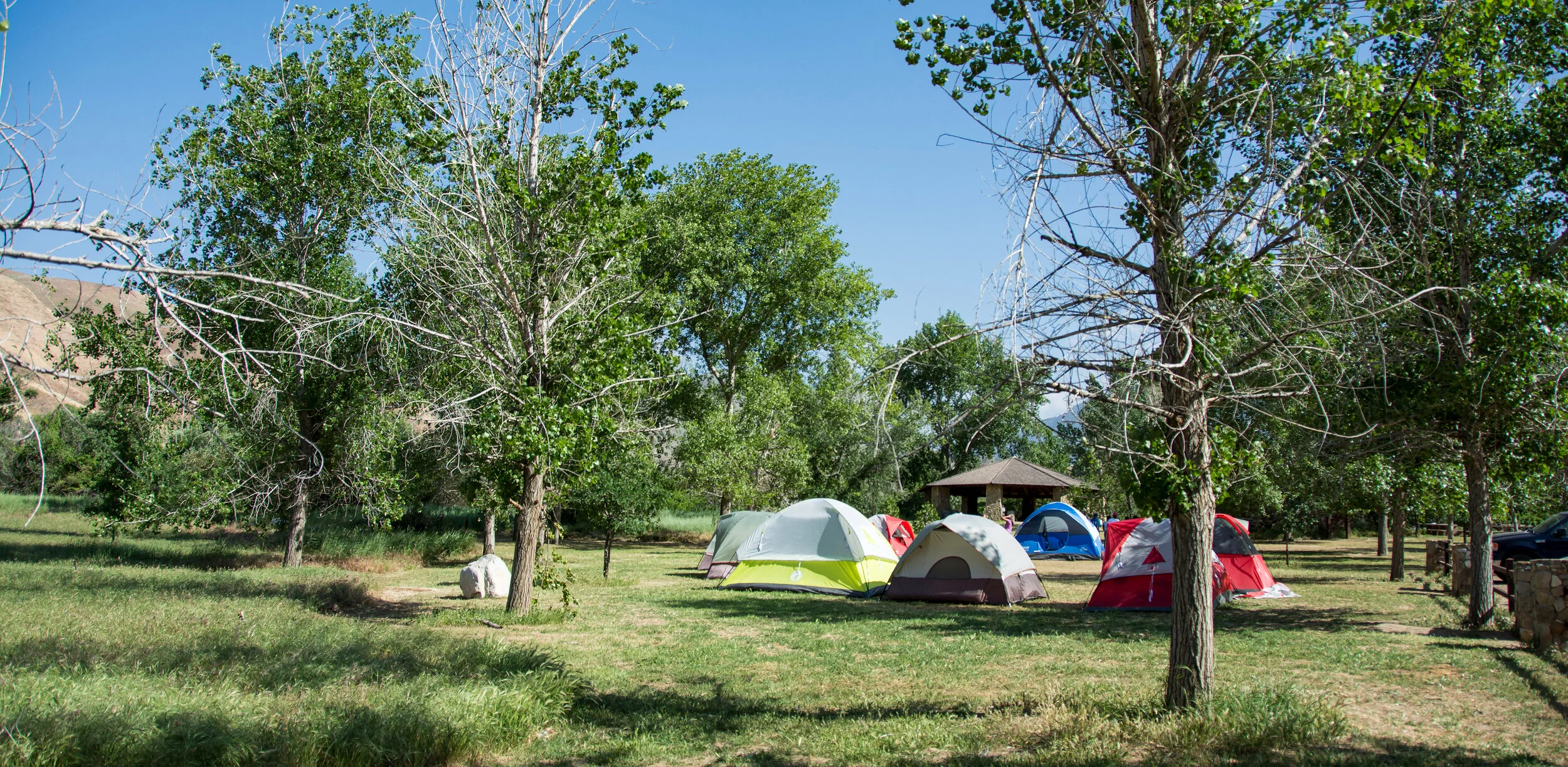 Wind Wolves Preserve » The Wildlands Conservancy
