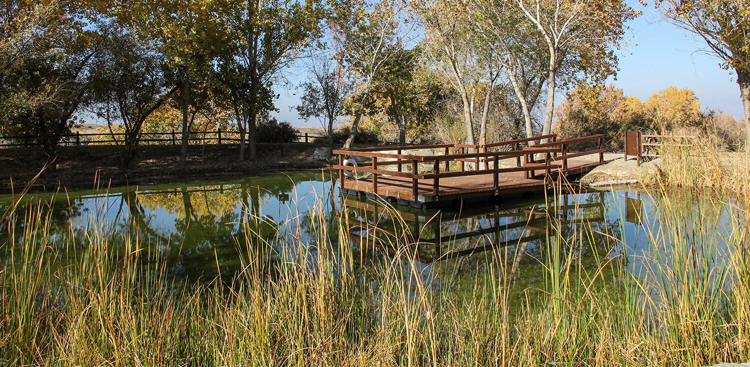 Wind Wolves Preserve Group Camping » The Wildlands Conservancy