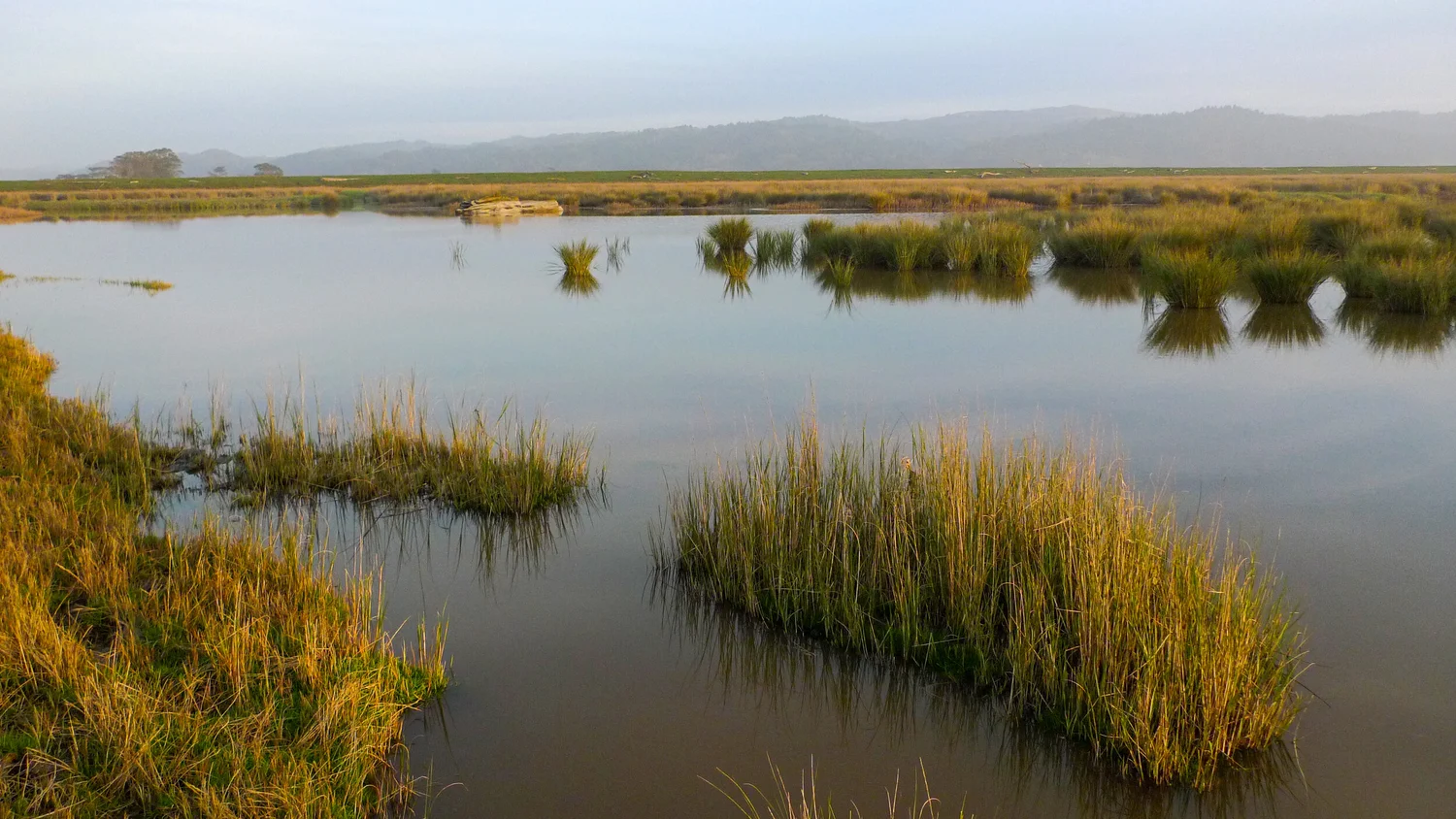 Eel River Estuary Preserve » The Wildlands Conservancy