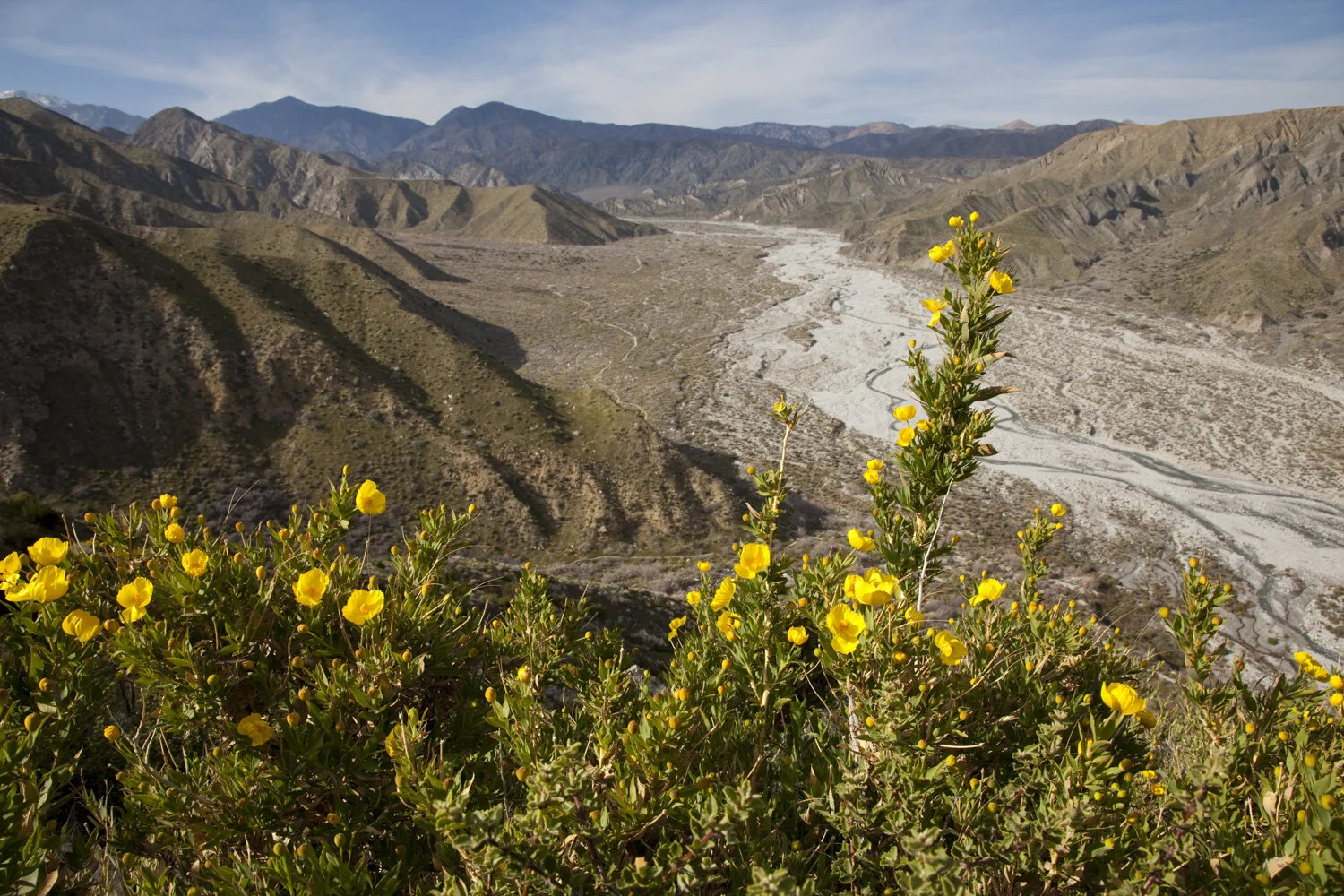 Whitewater Preserve » The Wildlands Conservancy