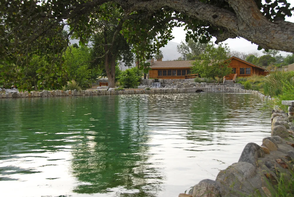 Whitewater Preserve » The Wildlands Conservancy