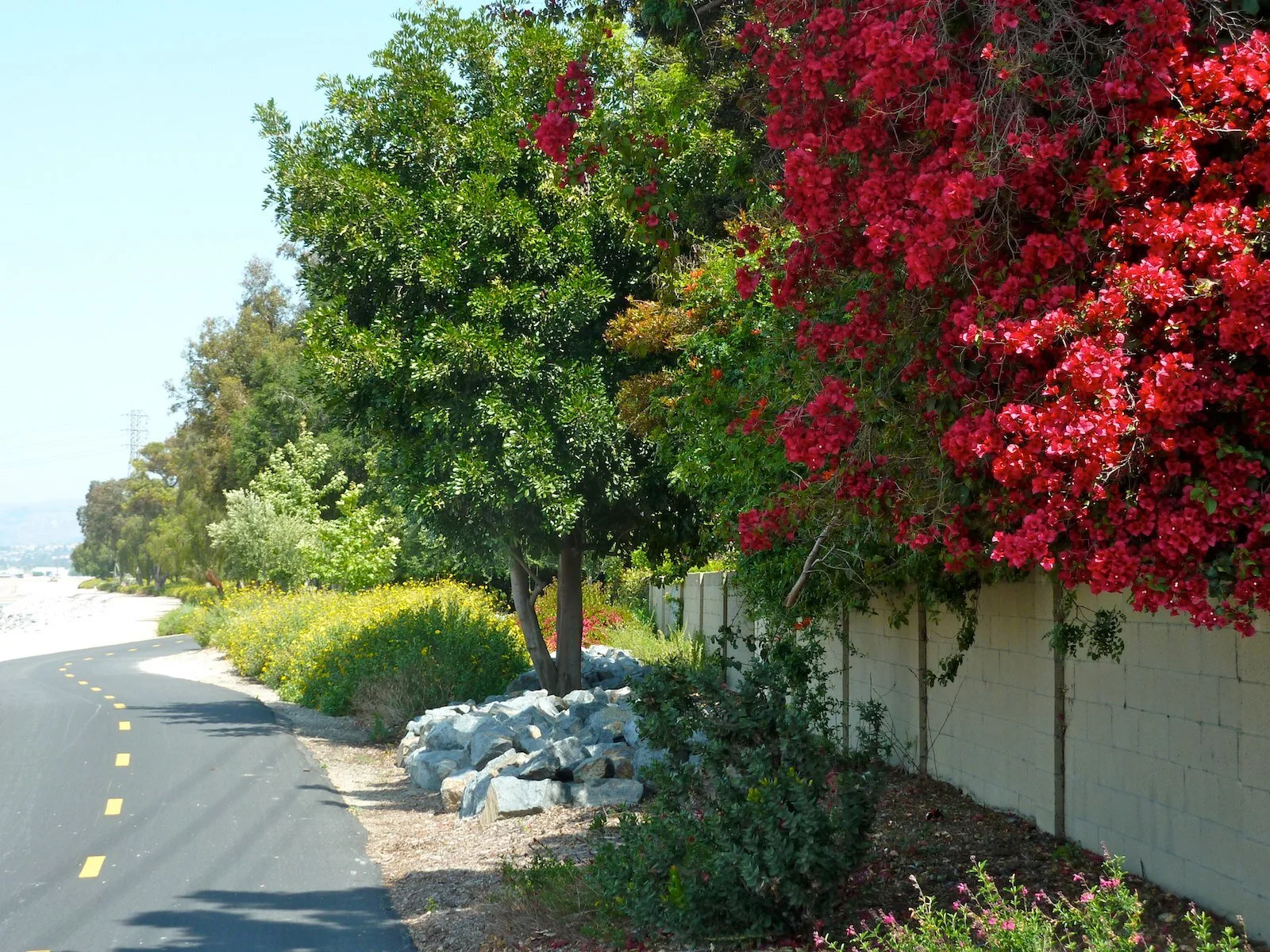 Santa Ana River Trail and Parkway » The Wildlands Conservancy