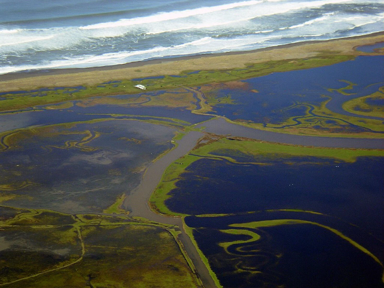 Eel River Estuary Preserve » The Wildlands Conservancy