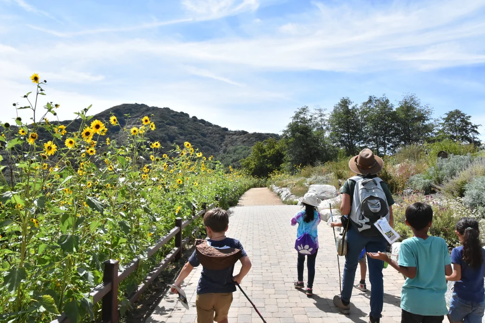 Our Outdoor Education Philosophy » The Wildlands Conservancy