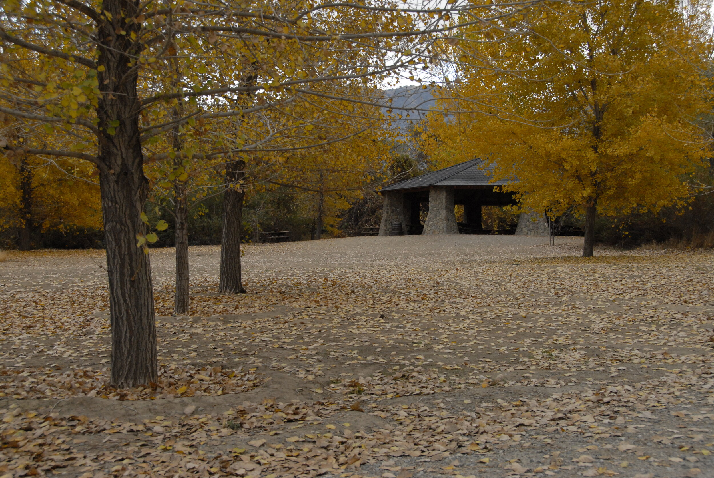 Wind Wolves Preserve » The Wildlands Conservancy