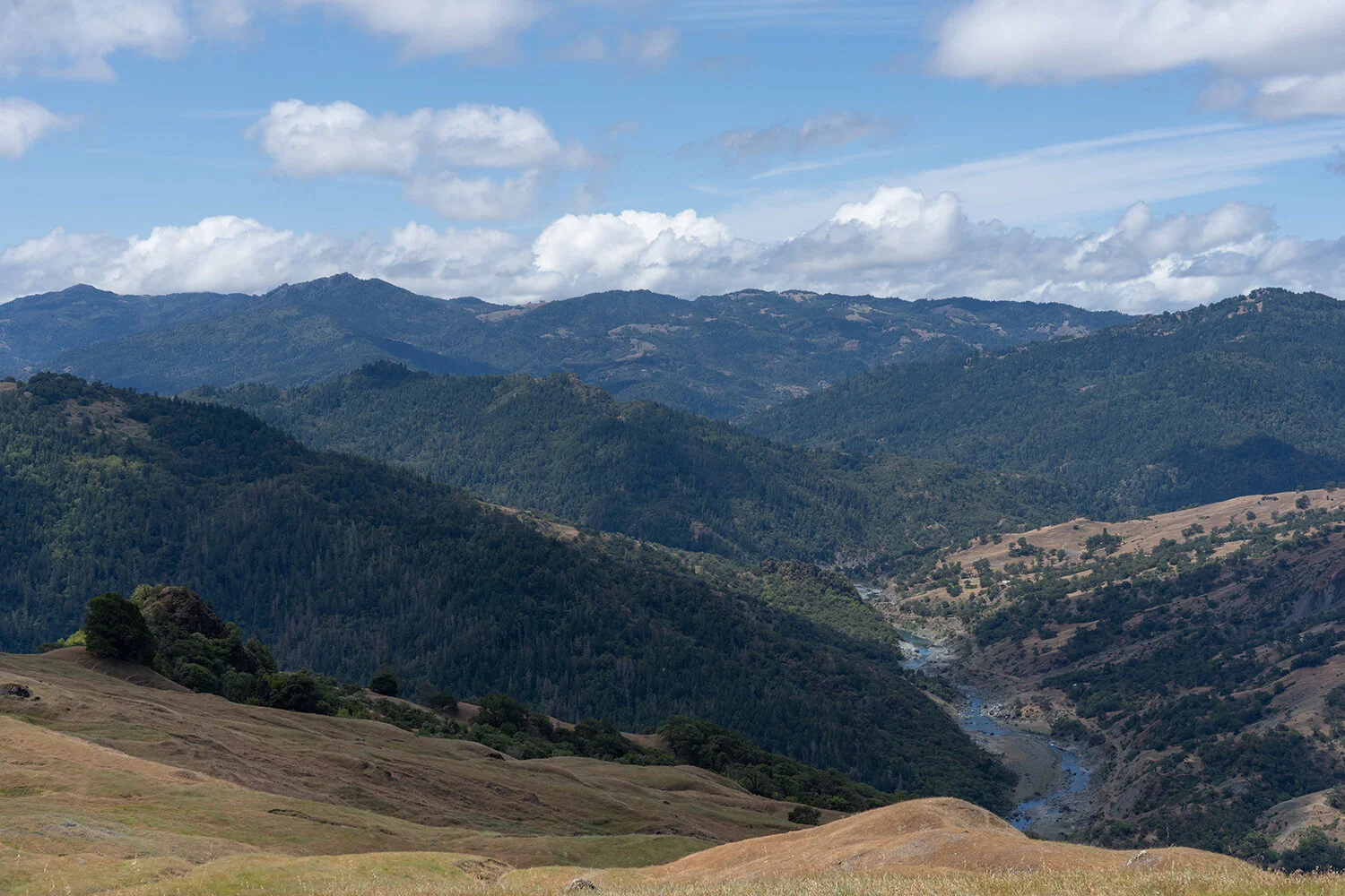 The Wildlands Conservancy