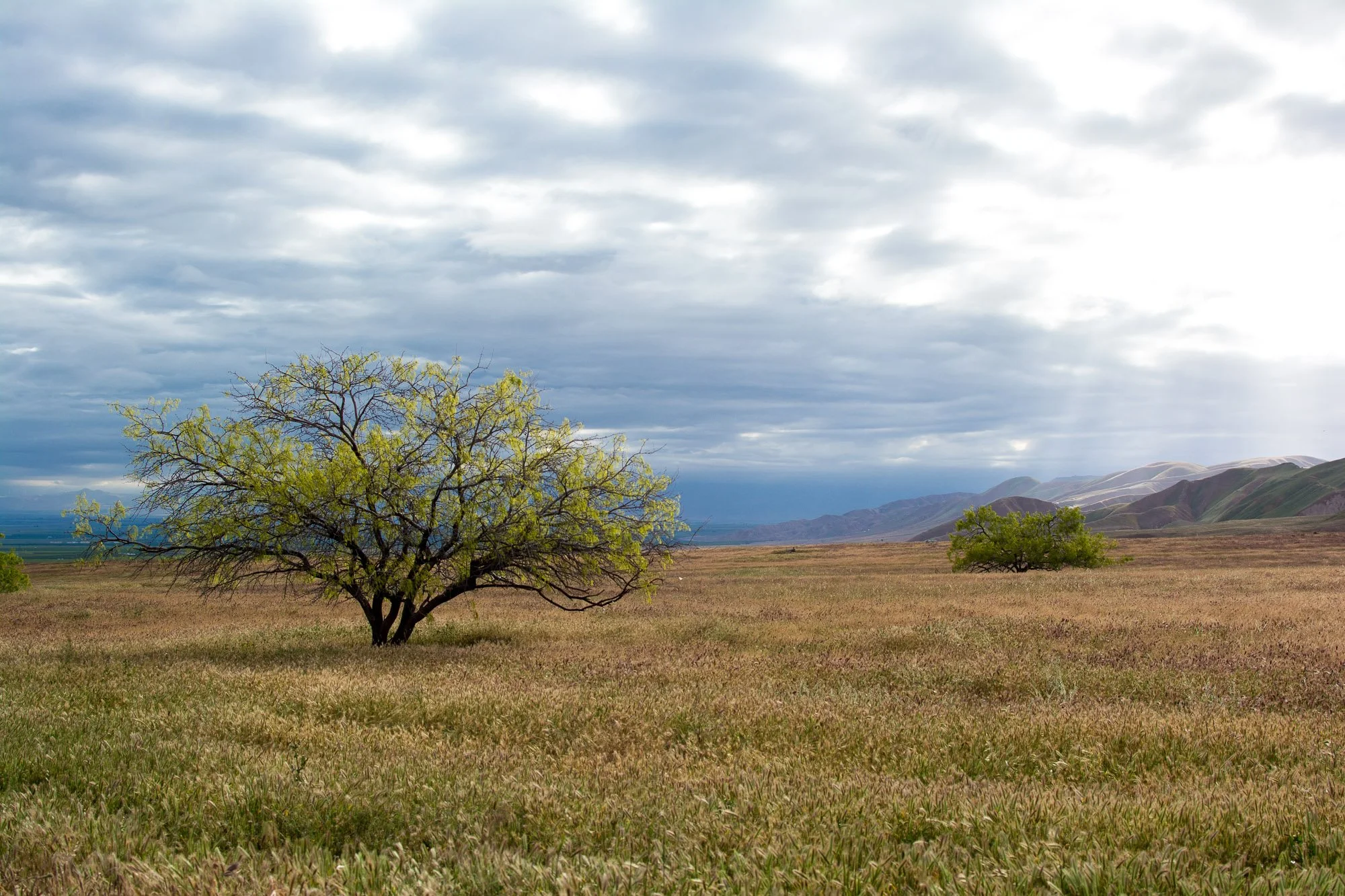 Spring Nature Festival » The Wildlands Conservancy