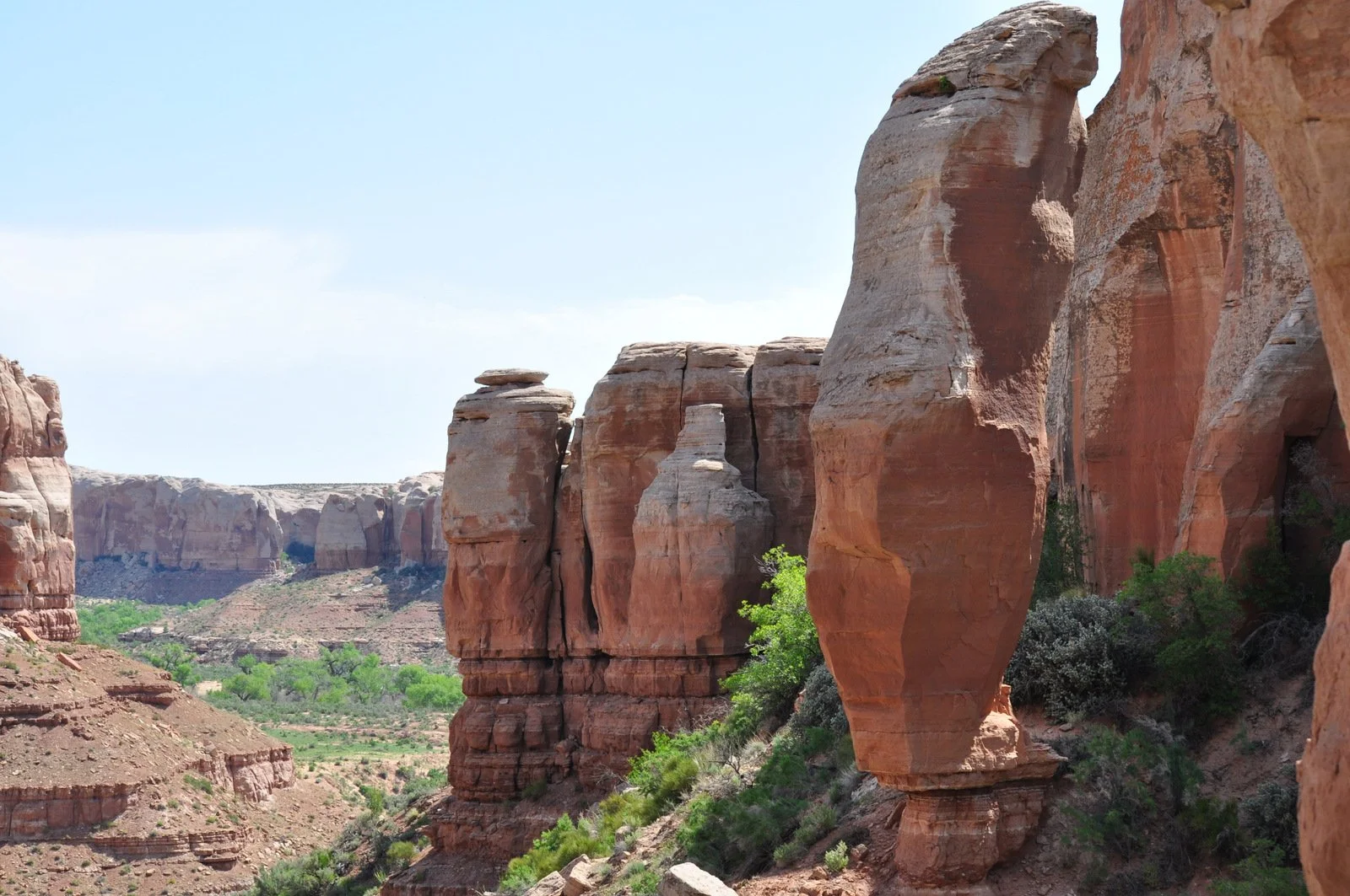 Cottonwood Wash » An Iconic Landscape » The Wildlands Conservancy