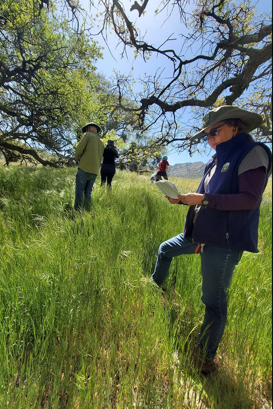 Wind Wolves Preserve » The Wildlands Conservancy