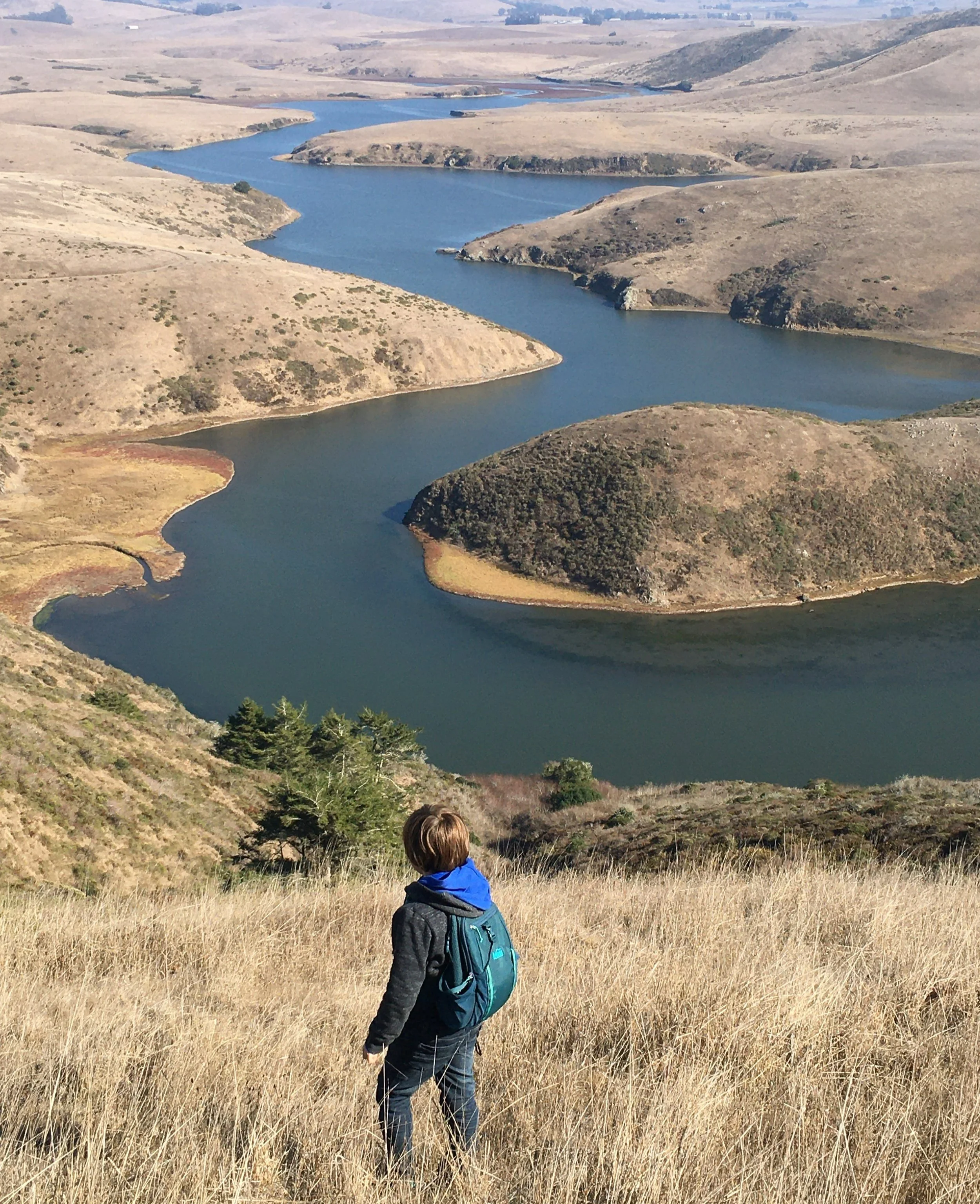 Estero Americano Coast Preserve » The Wildlands Conservancy