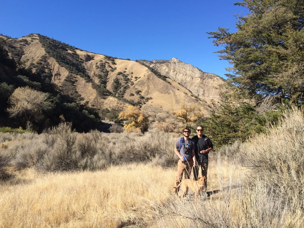 Wind Wolves Preserve Docent Program » The Wildlands Conservancy