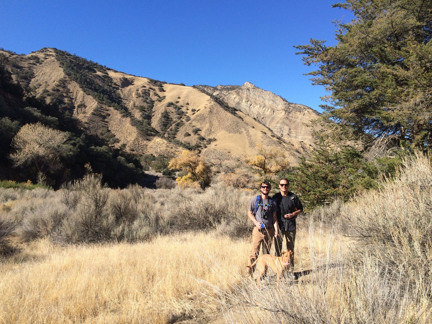 Wind Wolves Preserve Docent Program » The Wildlands Conservancy