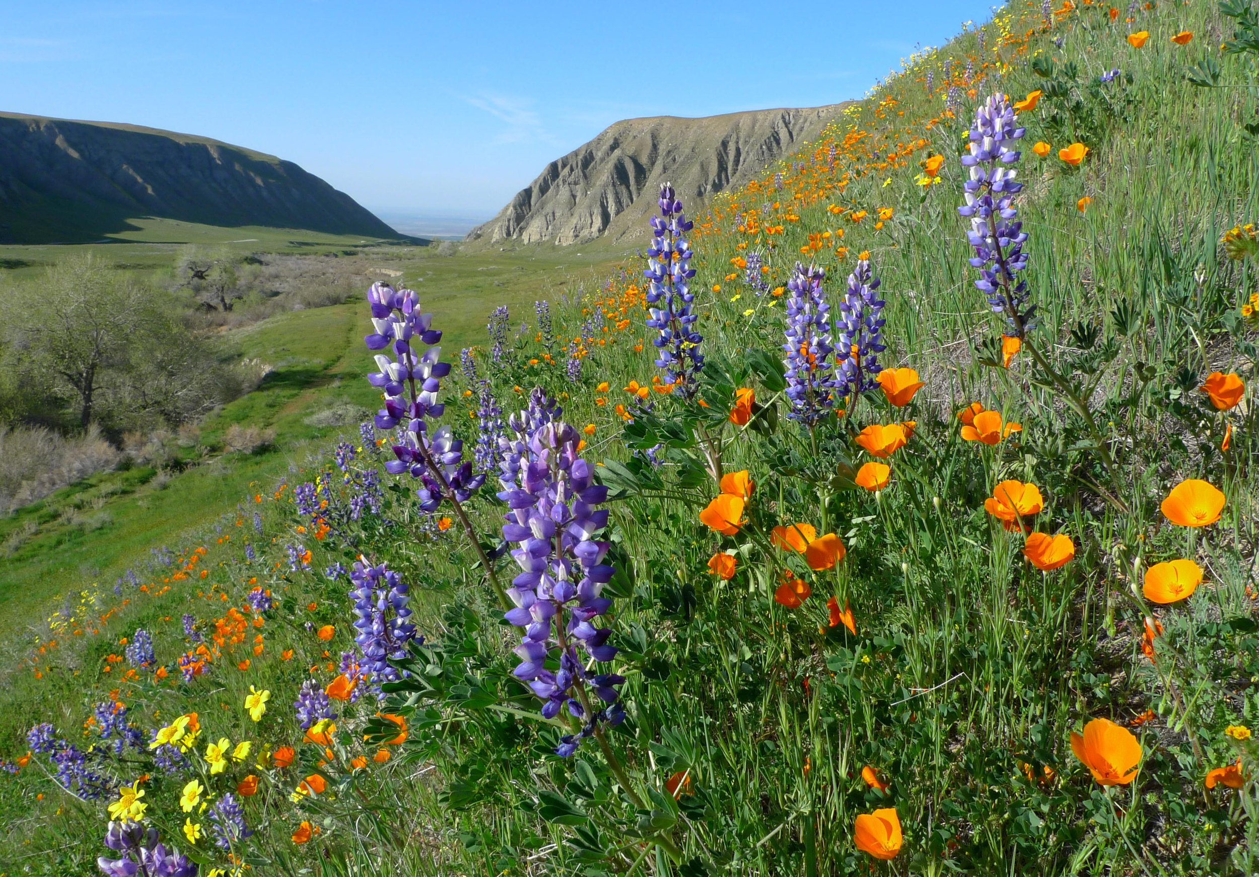Spring Nature Festival » The Wildlands Conservancy