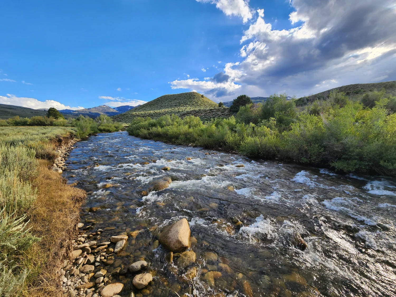 Two Rivers Preserve » The Wildlands Conservancy