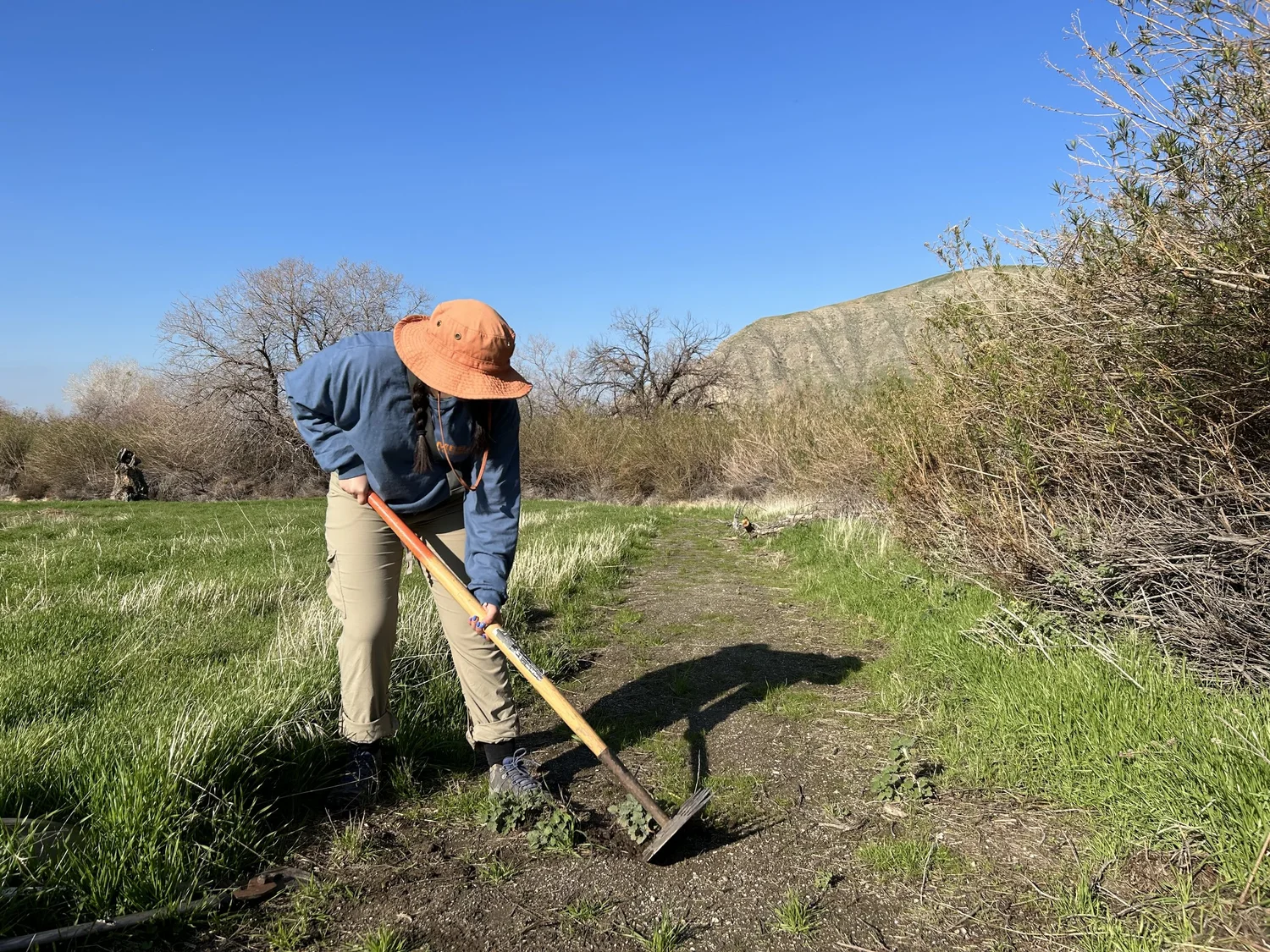 Wind Wolves Preserve Docent Program » The Wildlands Conservancy