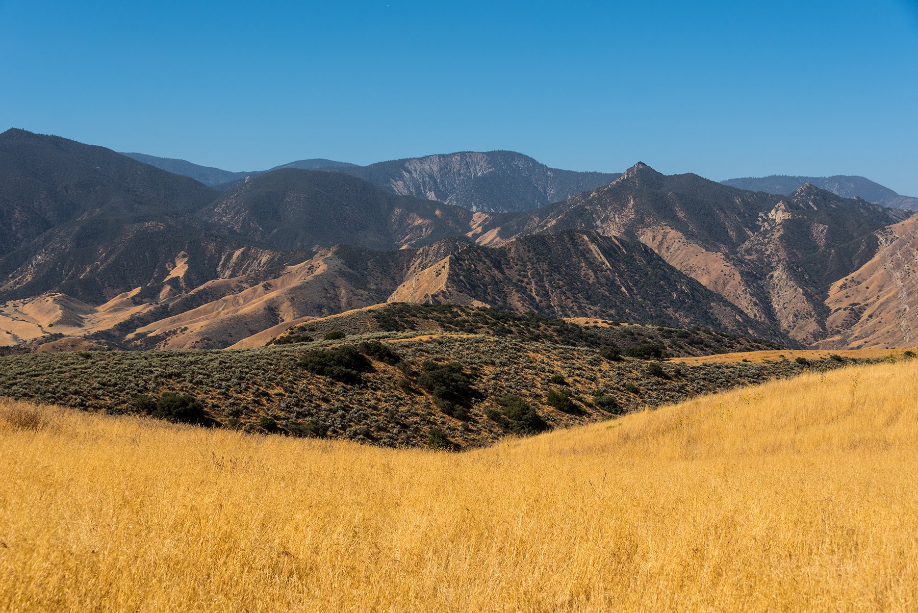 Wind Wolves Preserve » The Wildlands Conservancy
