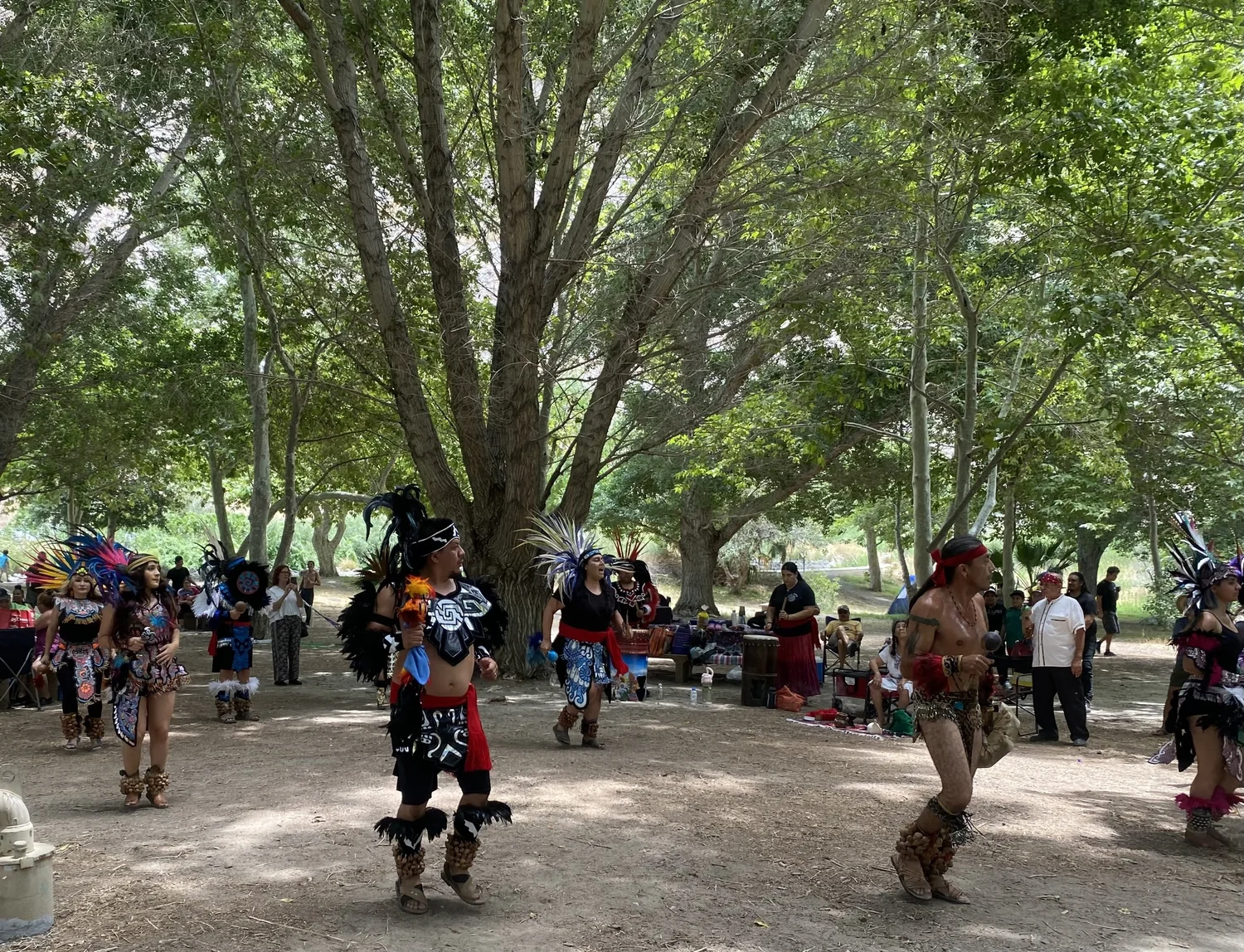 Whitewater Preserve » The Wildlands Conservancy